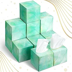 Amazon.com: 12 Pieces Facial Tissues Cube Boxes 2 Ply Soft Tissue Boxes ...