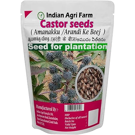 Iagrifarm Castor Seeds -1 Kg - Arandi Ke Beej/Ricinus Communis/Amanakku ...