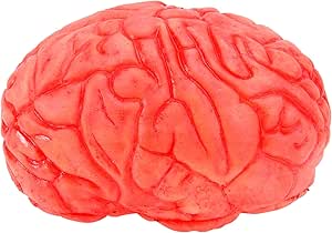 Amazon.com: Garneck Human Brain- Fake Human Brain for Halloween Party ...