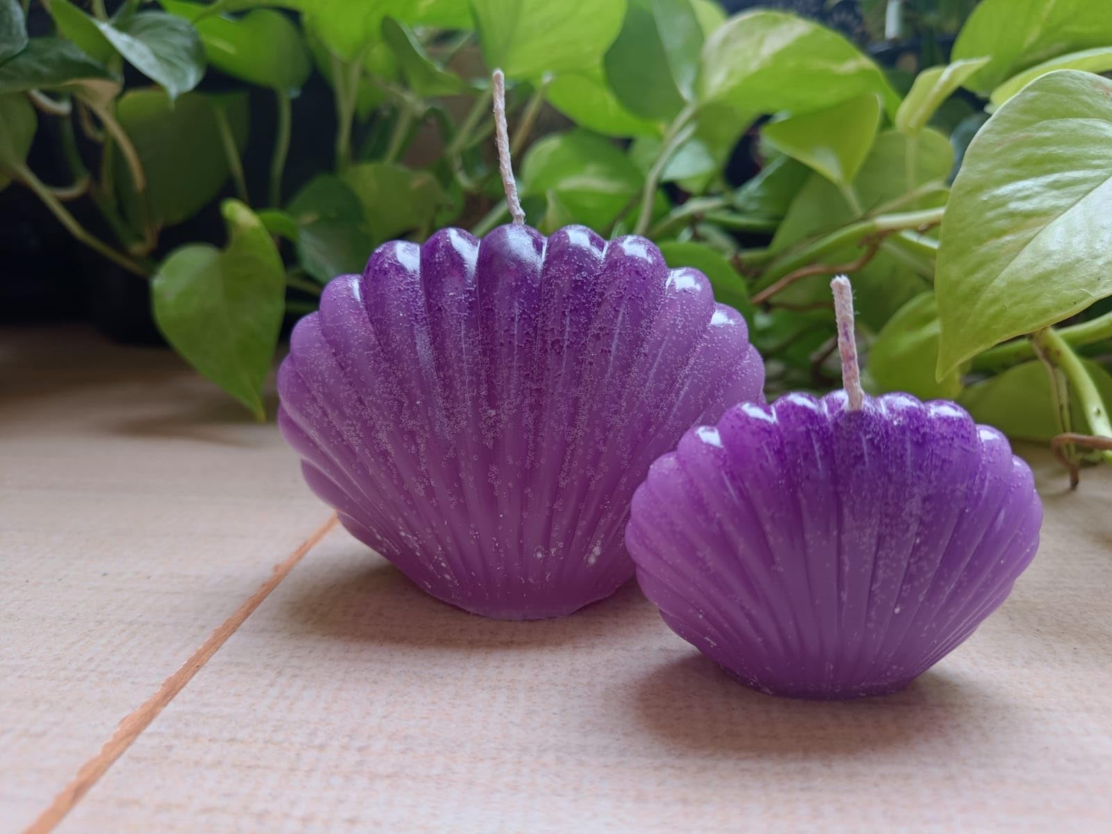 FirstTry Shell Candle Mold I 3D Fondant Seashell Geometry Silicone ...