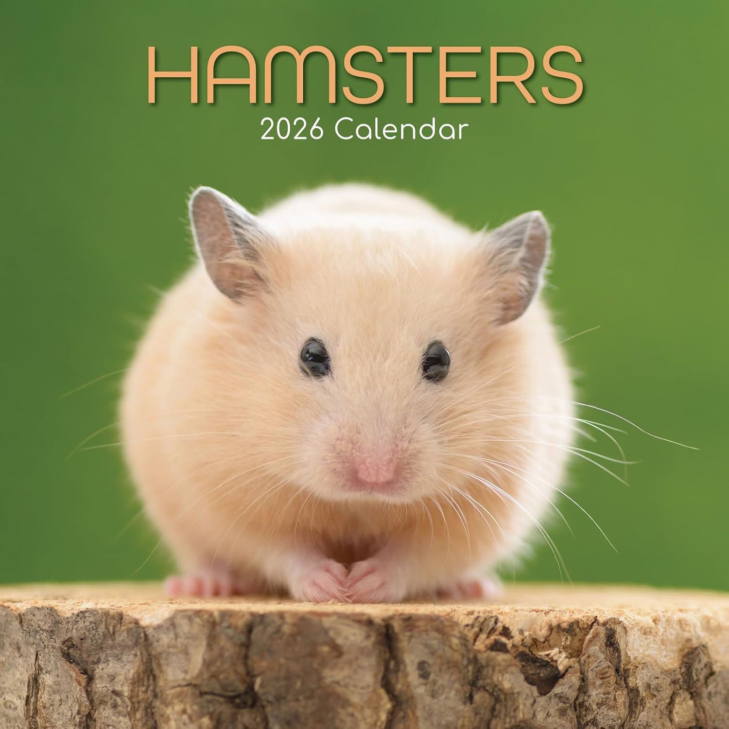 The Gifted Stationery 16-Month Square Wall Calendar - Adorable Hamster ...