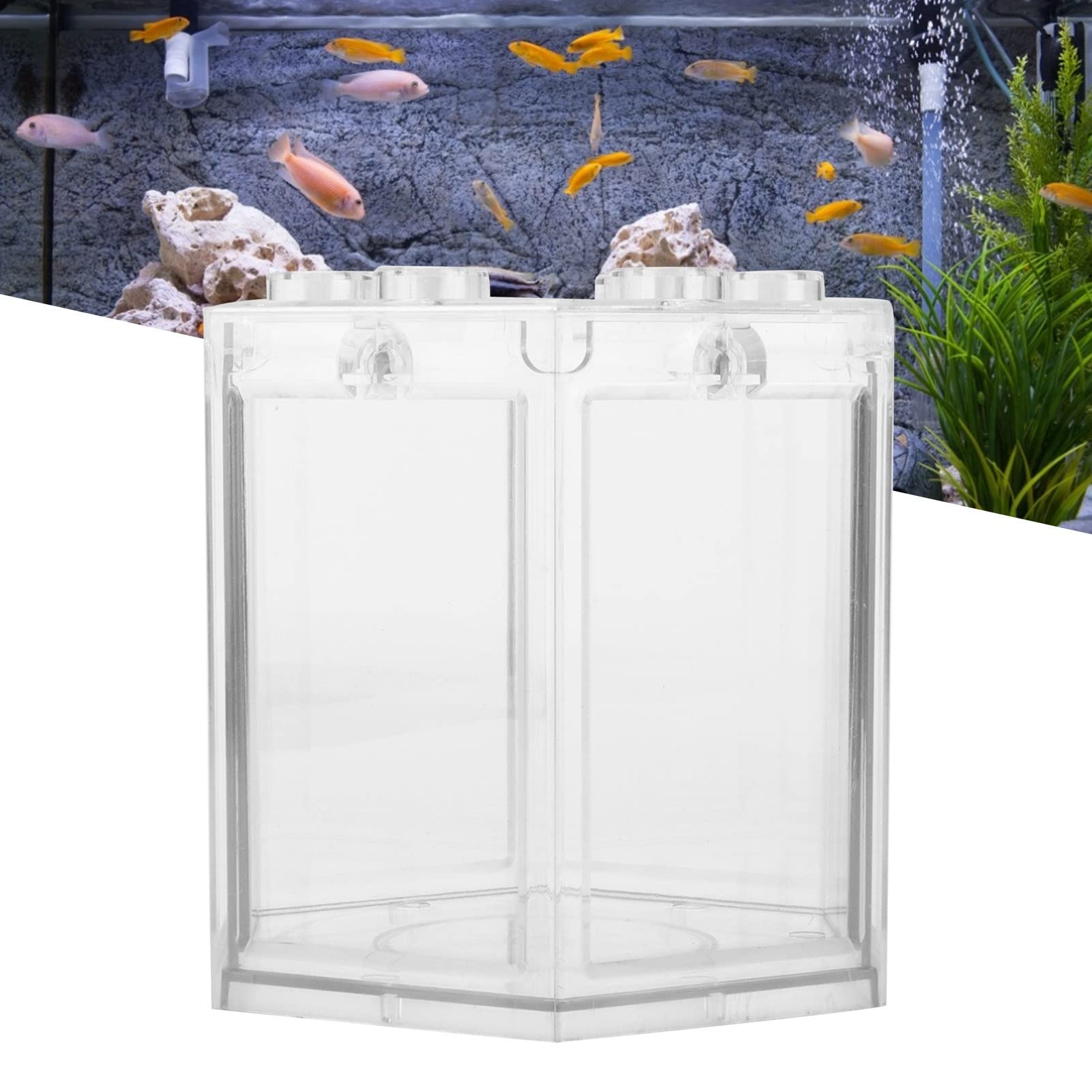Corner Acrylic Fish Tank Acrylic Cabinetry Midwest Custom Aquarium