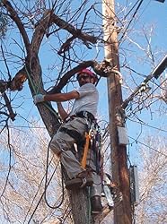 Amazon.com: Howard Leight Quiet Band Inner-Aural Replacement Pods for ...