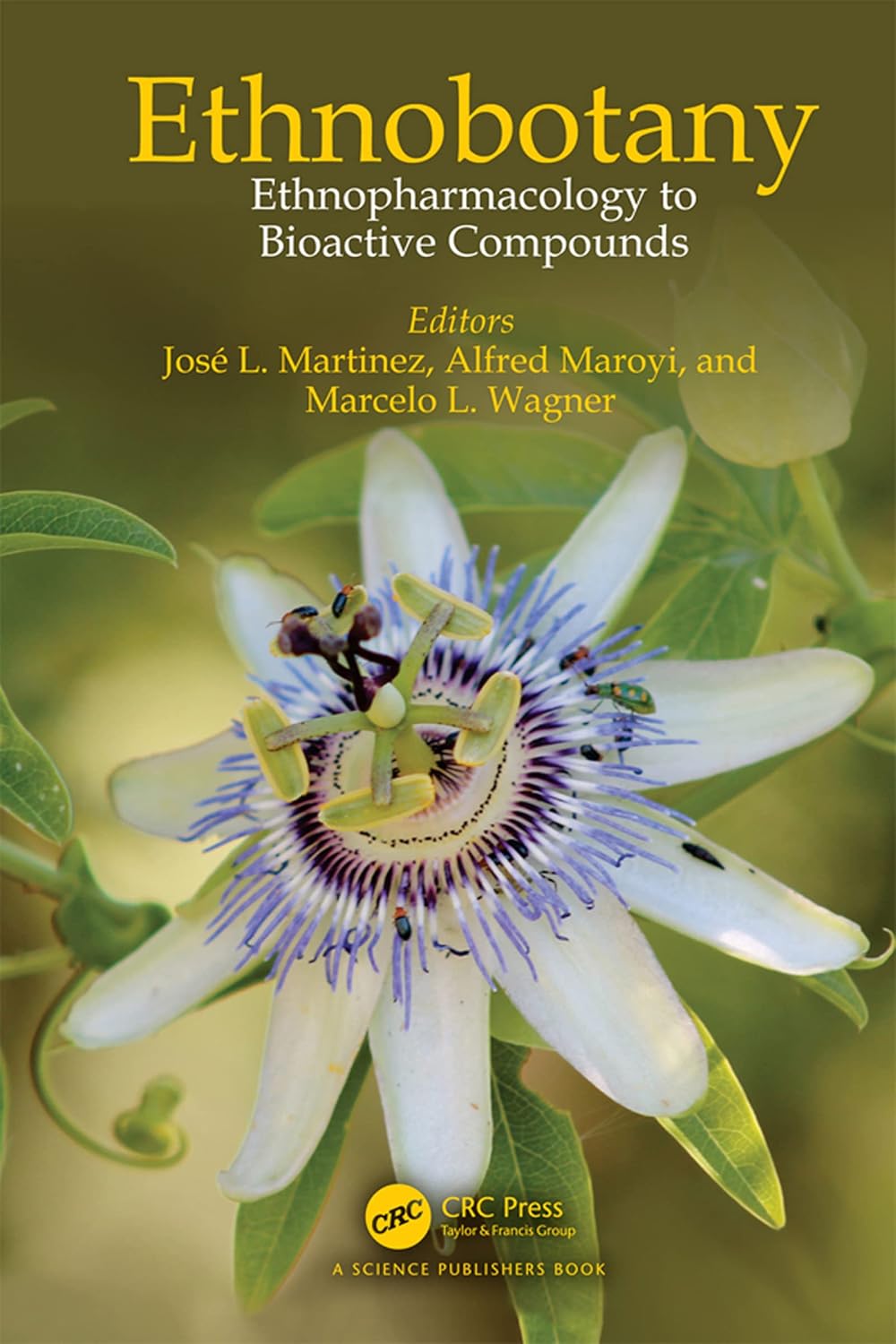 Ethnobotany: Ethnopharmacology to Bioactive Compounds 1, Martinez, José ...
