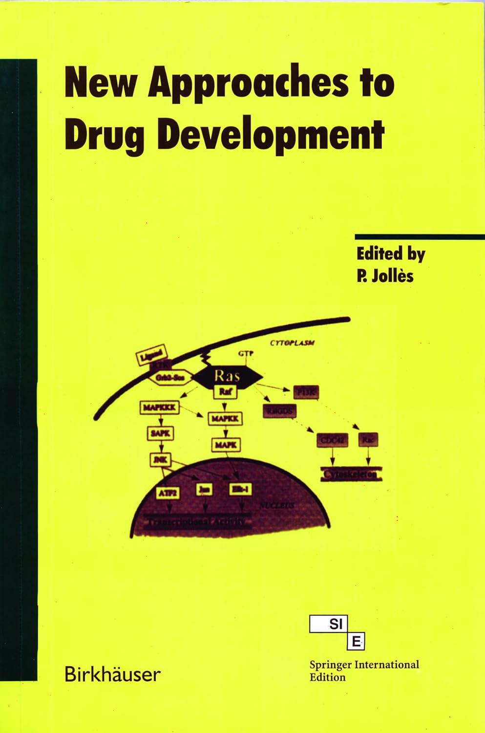 Buy New Approaches To Drug Development Book Online at Low Prices in ...