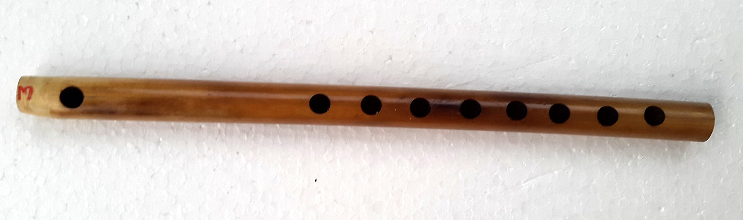 Amazon.com: Carnatic Flute,"E" scale, 41 cm, Professional, Bansuri ...