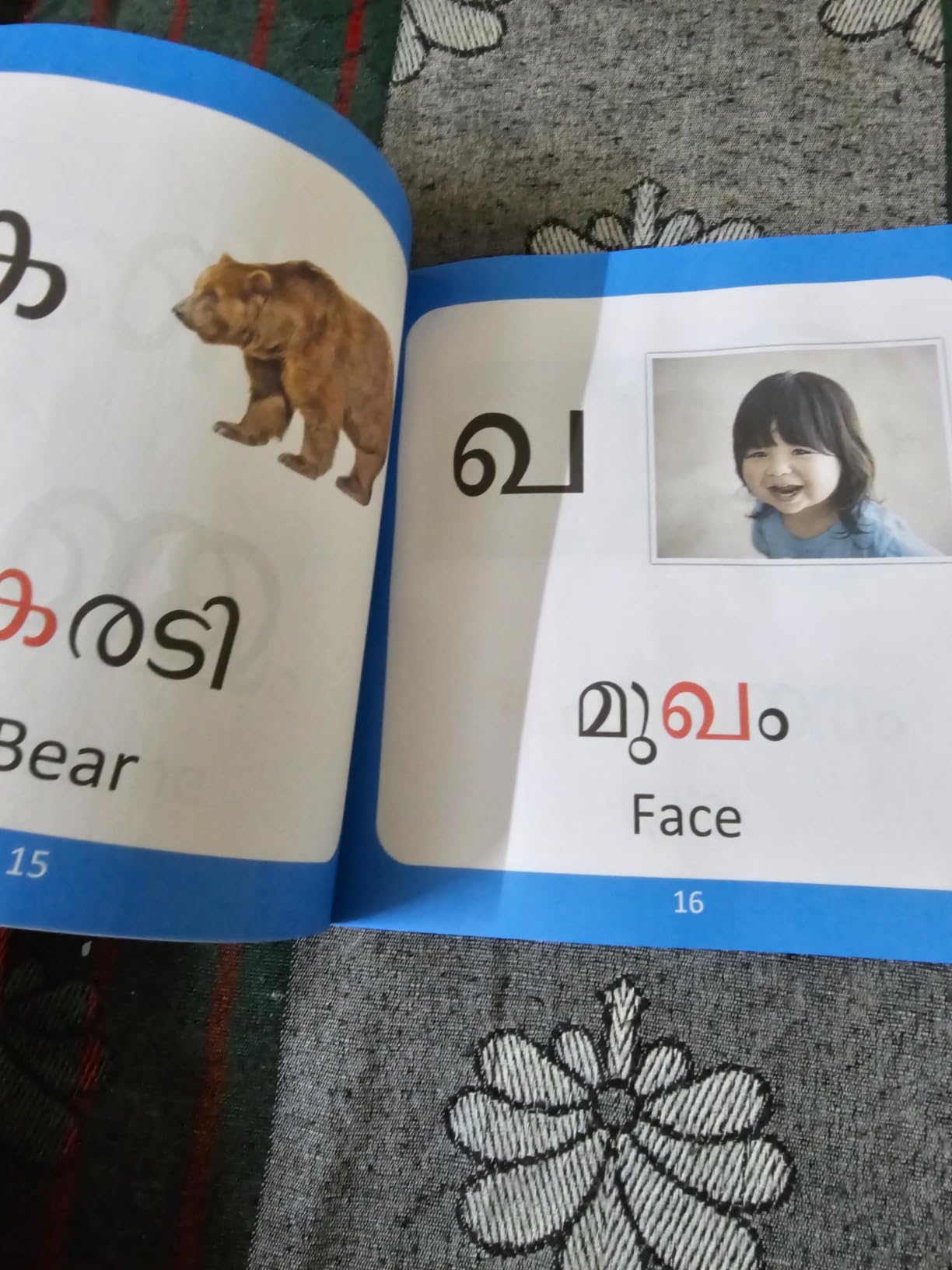My First Malayalam Alphabets Picture Book with English Translations ...
