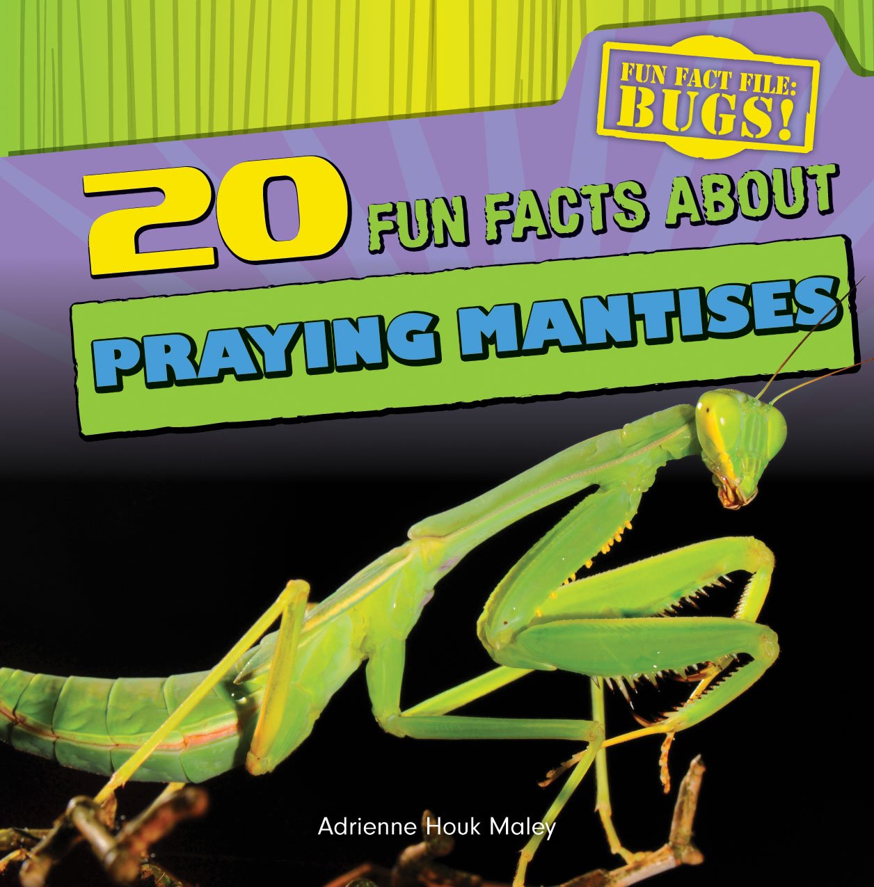 20 Fun Facts about Praying Mantises: 4 : Buy Online at Best Price in ...