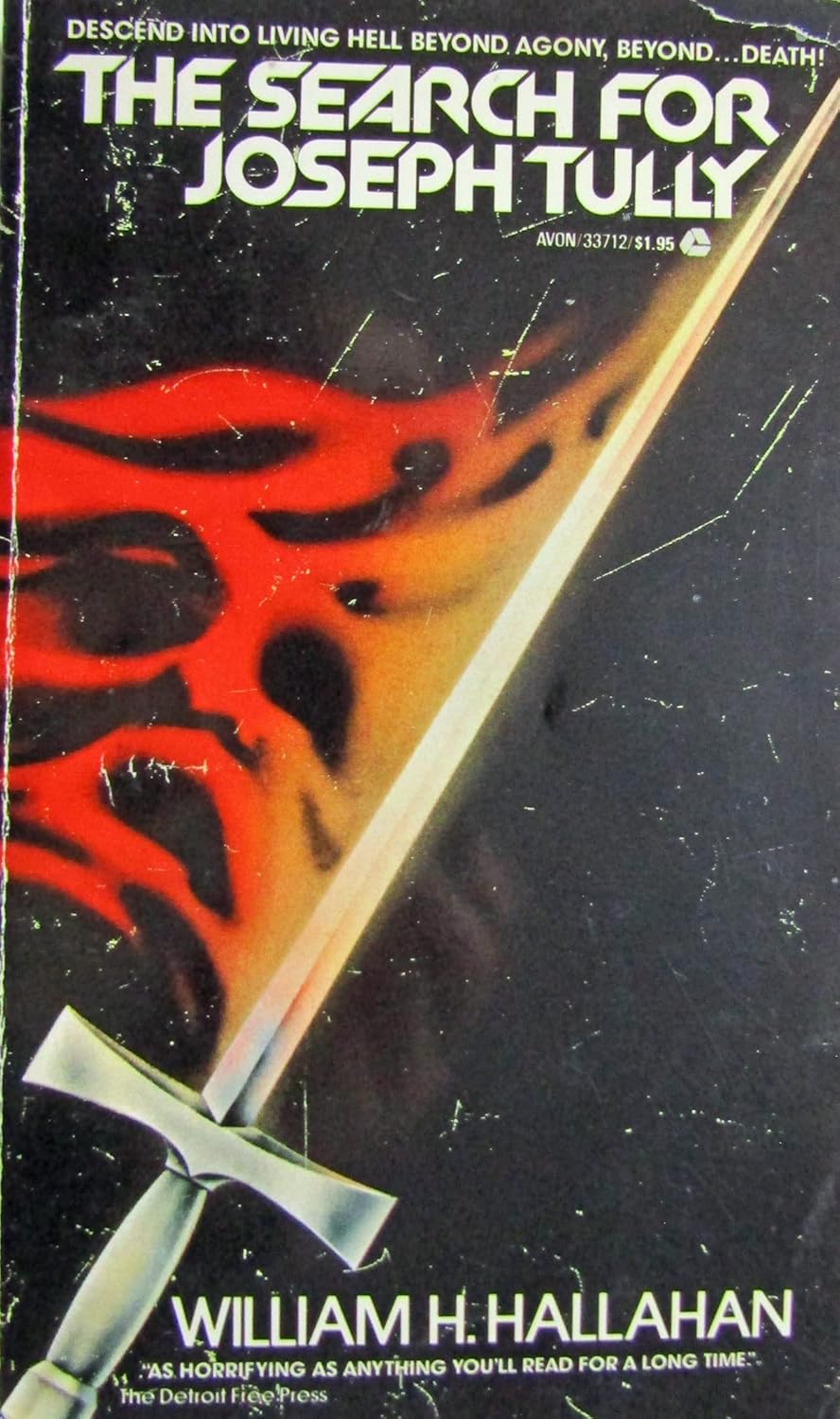 The Search for Joseph Tully: Hallahan, William: Amazon.com: Books