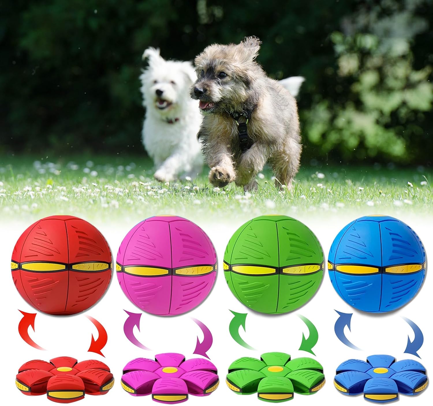 Pet Supplies : yemyig 4Pcs Flying Saucer Ball for Dogs Dog Toys for ...