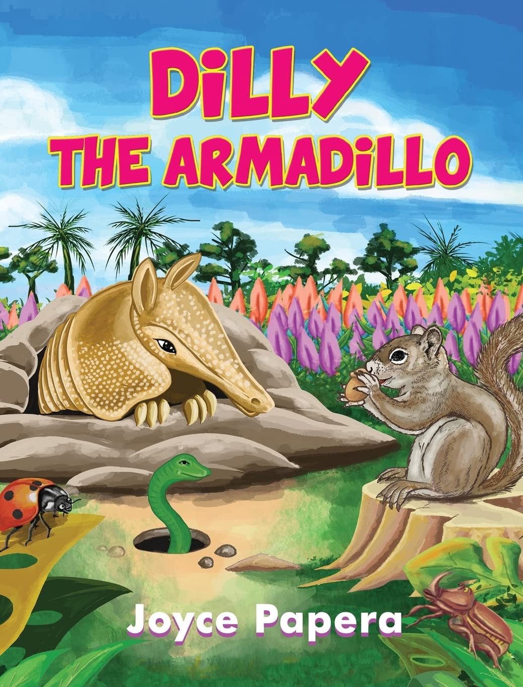 Amazon.com: Dilly the Armadillo: 9780578381671: Papera, Joyce M: Books