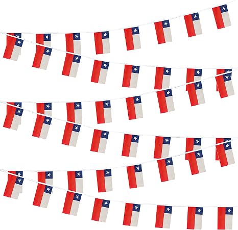 Amazon.com: Chile Chilean Small Mini String Banner Flags Miniature ...