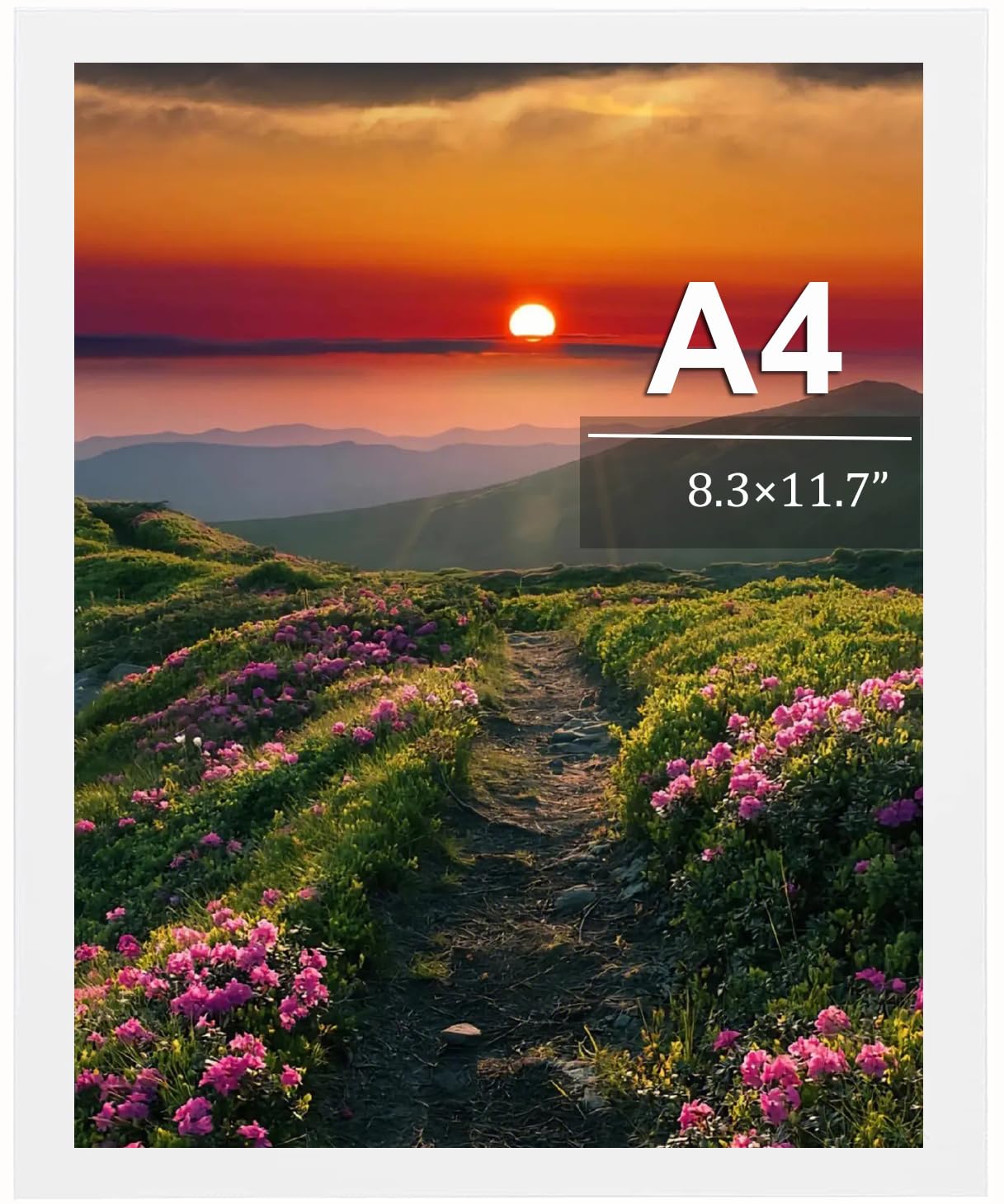 A4 Photo Frame, A4 Frame Wooden Picture Frame with Clear Perspex Front ...