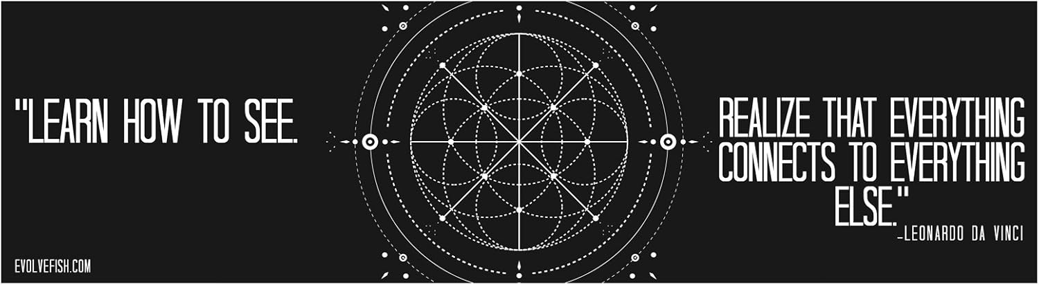 Amazon.com: EvolveFISH Learn How to See Everything Connects to ...