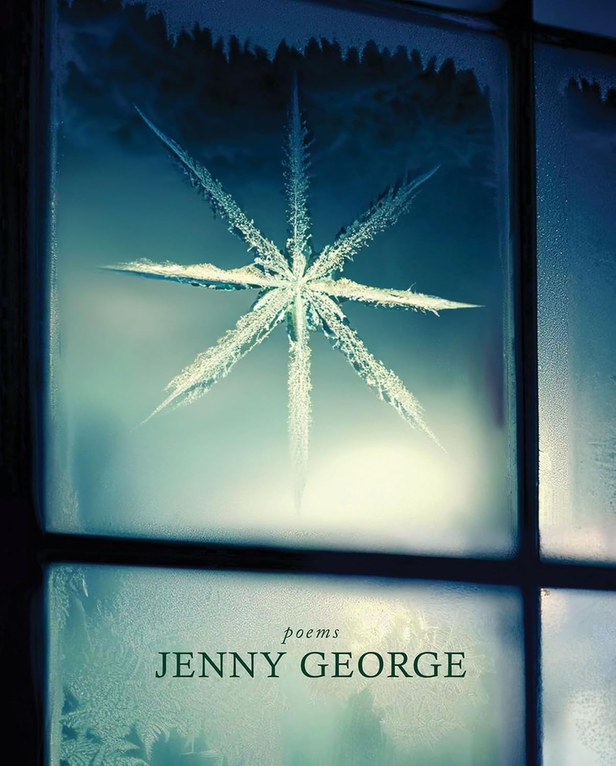 Amazon.com: * (asterisk): 9781949344493: George, Jenny: Books