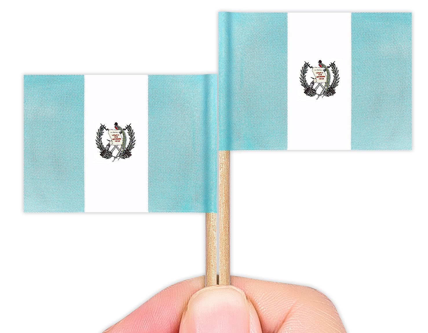 Snapklik.com : ZXvZYT Guatemala Flag Guatemalan Toothpick Flags,Small ...
