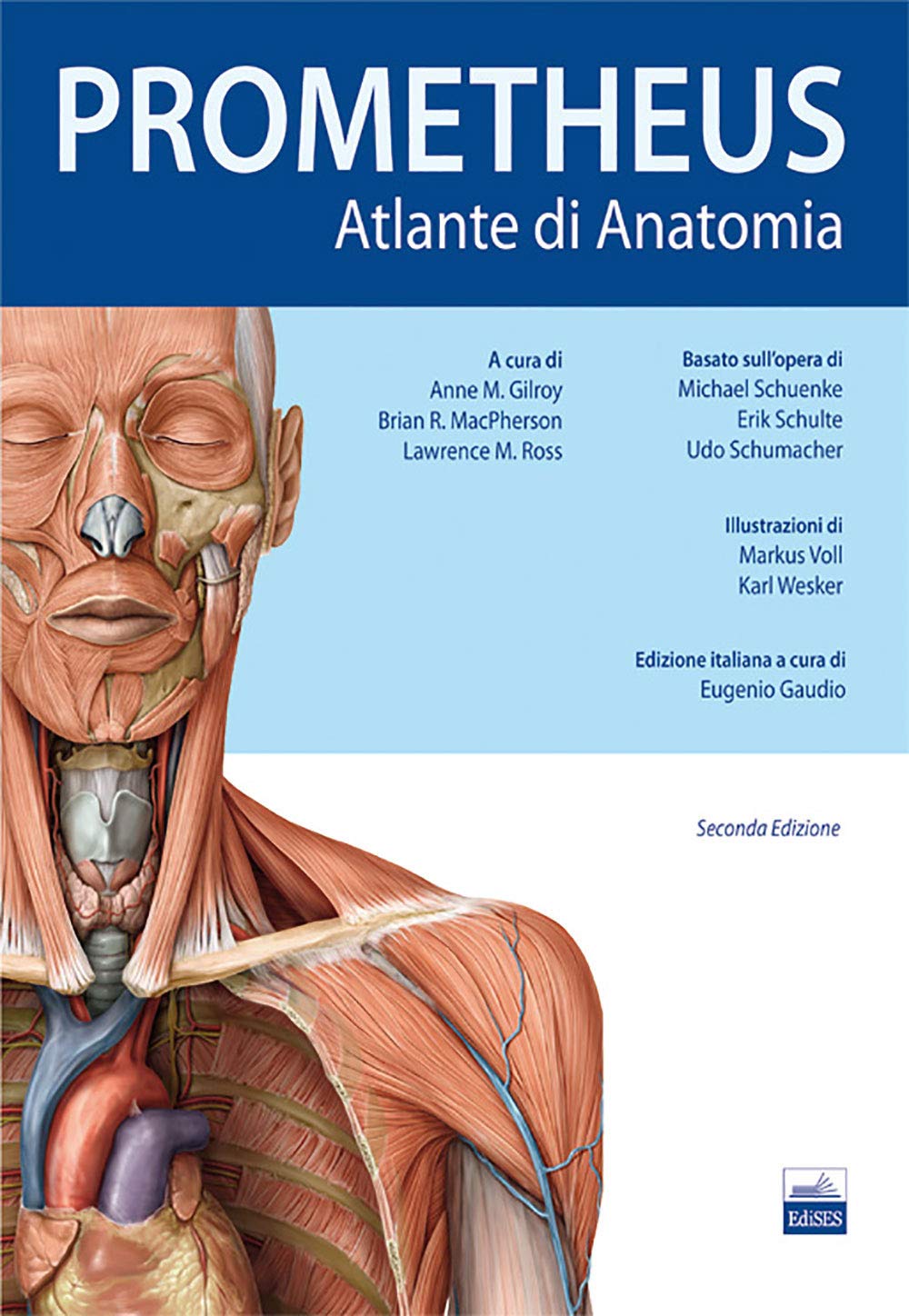 Prometheus. Altante di anatomia : Gilroy, Anne M., MacPherson, Brian R ...