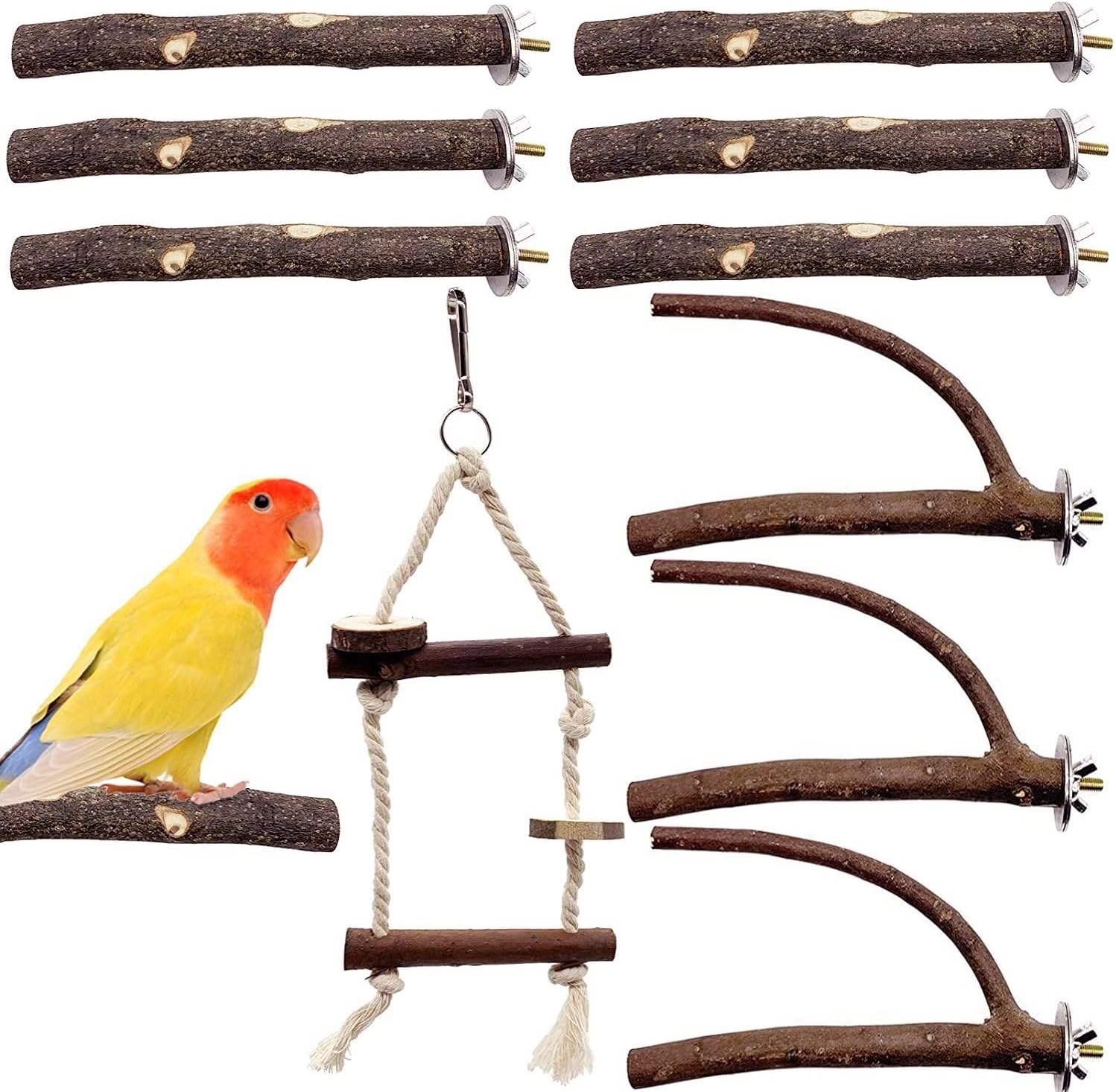 Amazon.com : EBaokuup Bird Parrot Perch Stand Set - 10 PCS Natural Wood ...