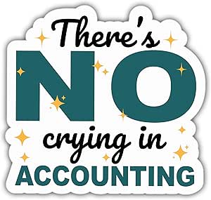 Amazon.com: Accountant Stickers Funny There's No Crying in Accounting ...