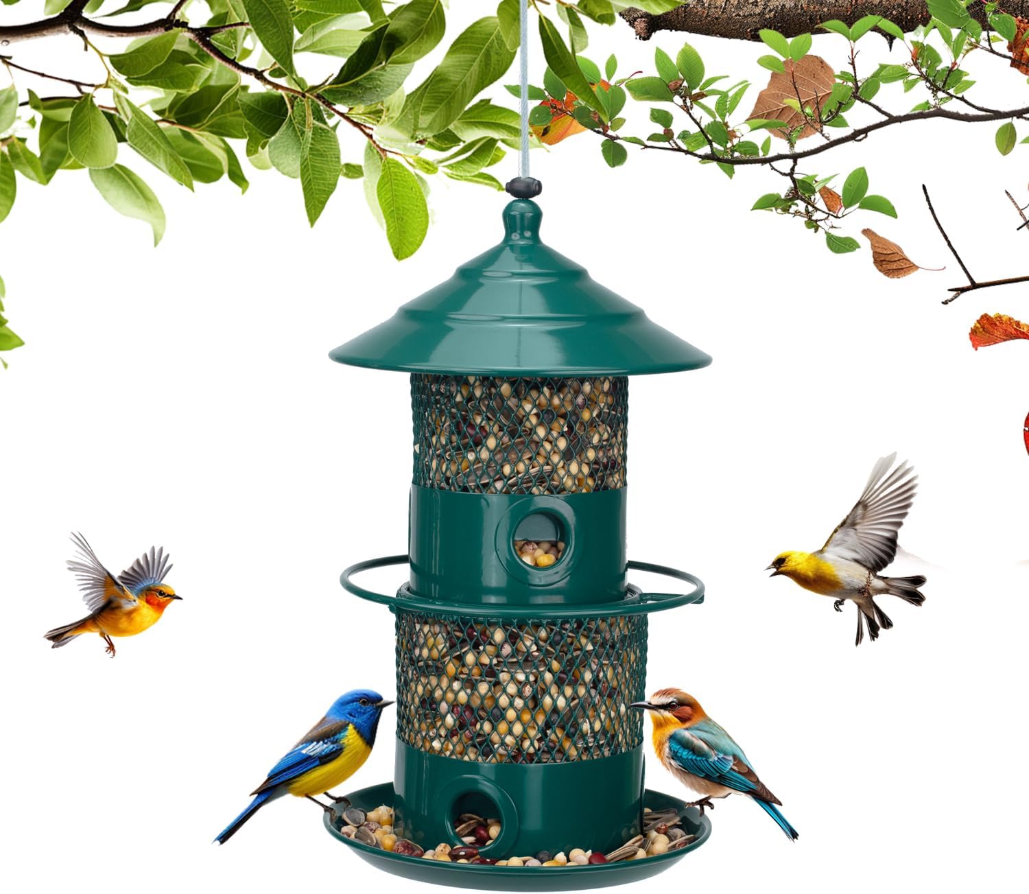 Amazon.com : Retractable Bird Feeder with Lighthouses, Wild Bird ...
