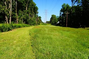 Amazon.com : Sony Alpha SEL18200 E-Mount 18-200mm F3.5-6.3 OSS Lens ...