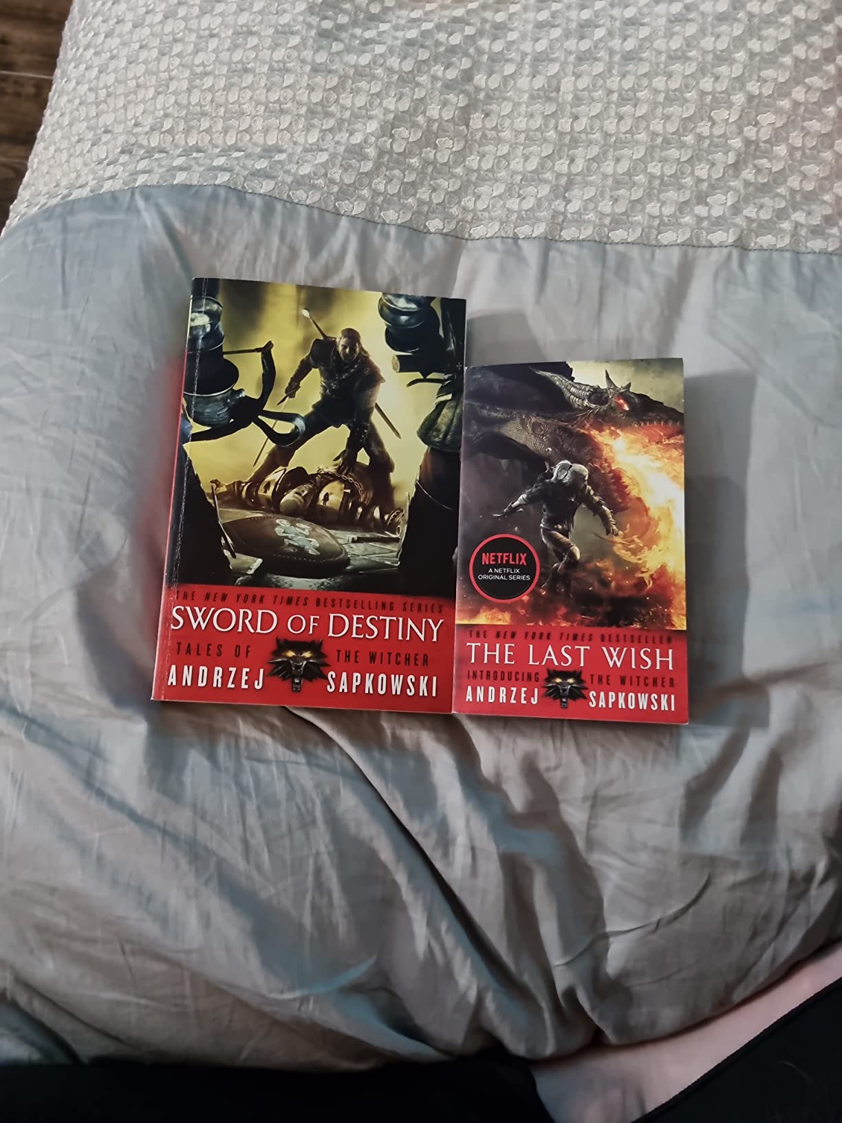 The Last Wish: Introducing the Witcher : Sapkowski, Andrzej, Stok ...