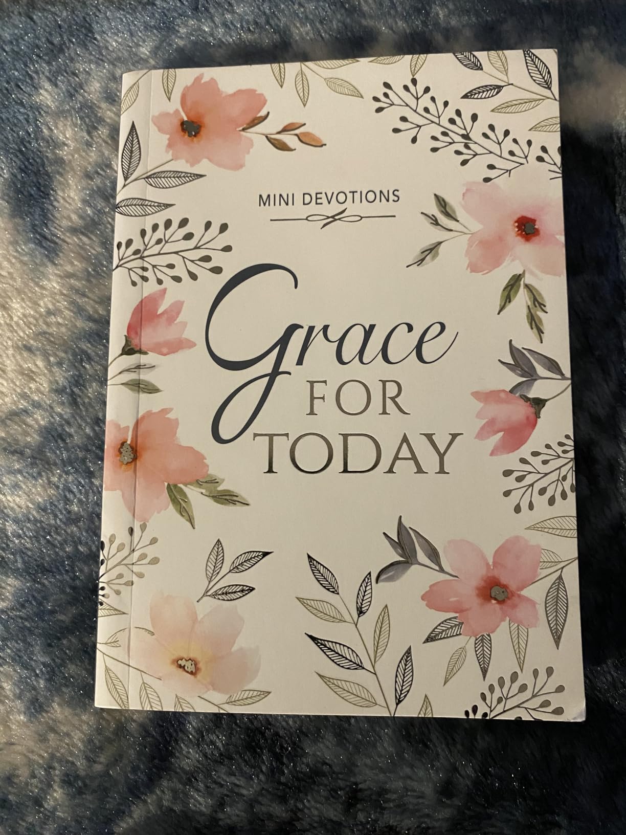 Mini Devotions Grace For Today - 180 Short and Encouraging Devotions on ...