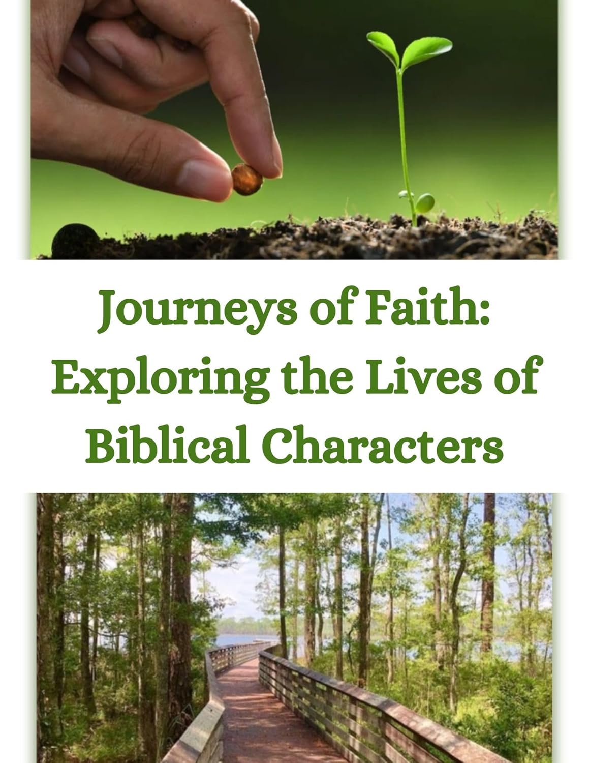 Amazon | Journeys of Faith: Exploring the Lives of Biblical Characters ...