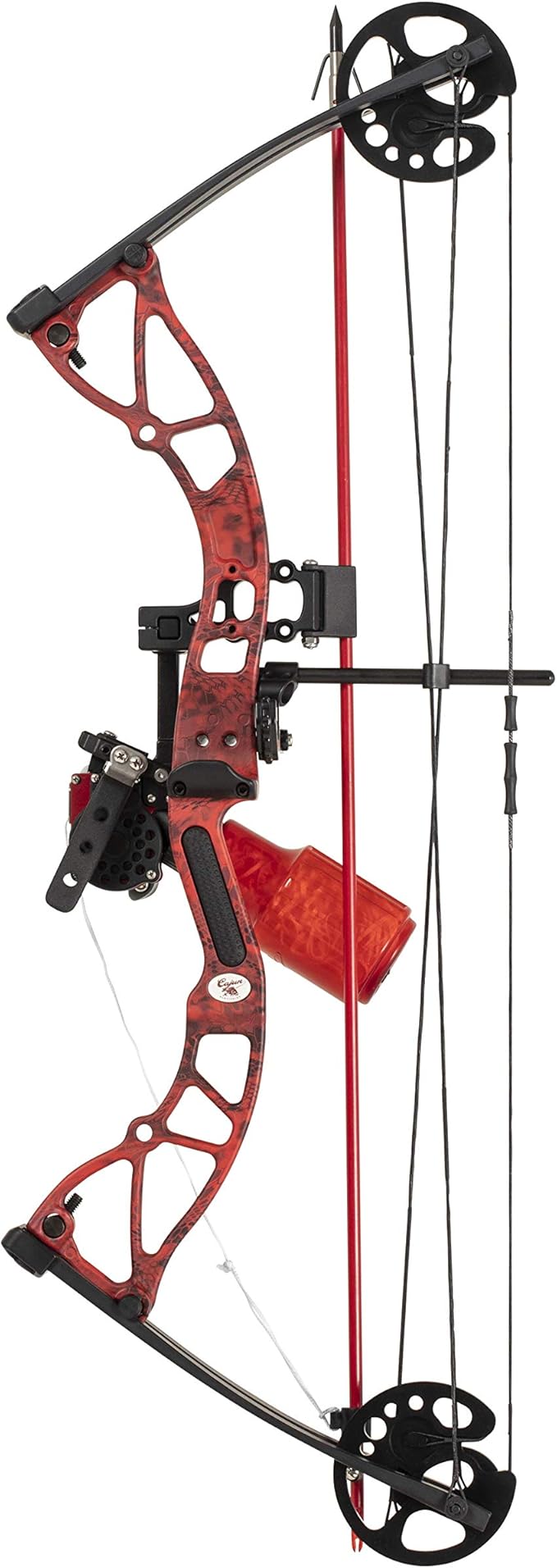 Amazon.com : Cajun Bowfishing Shore Runner Ext Compound Bowfishing Bow ...