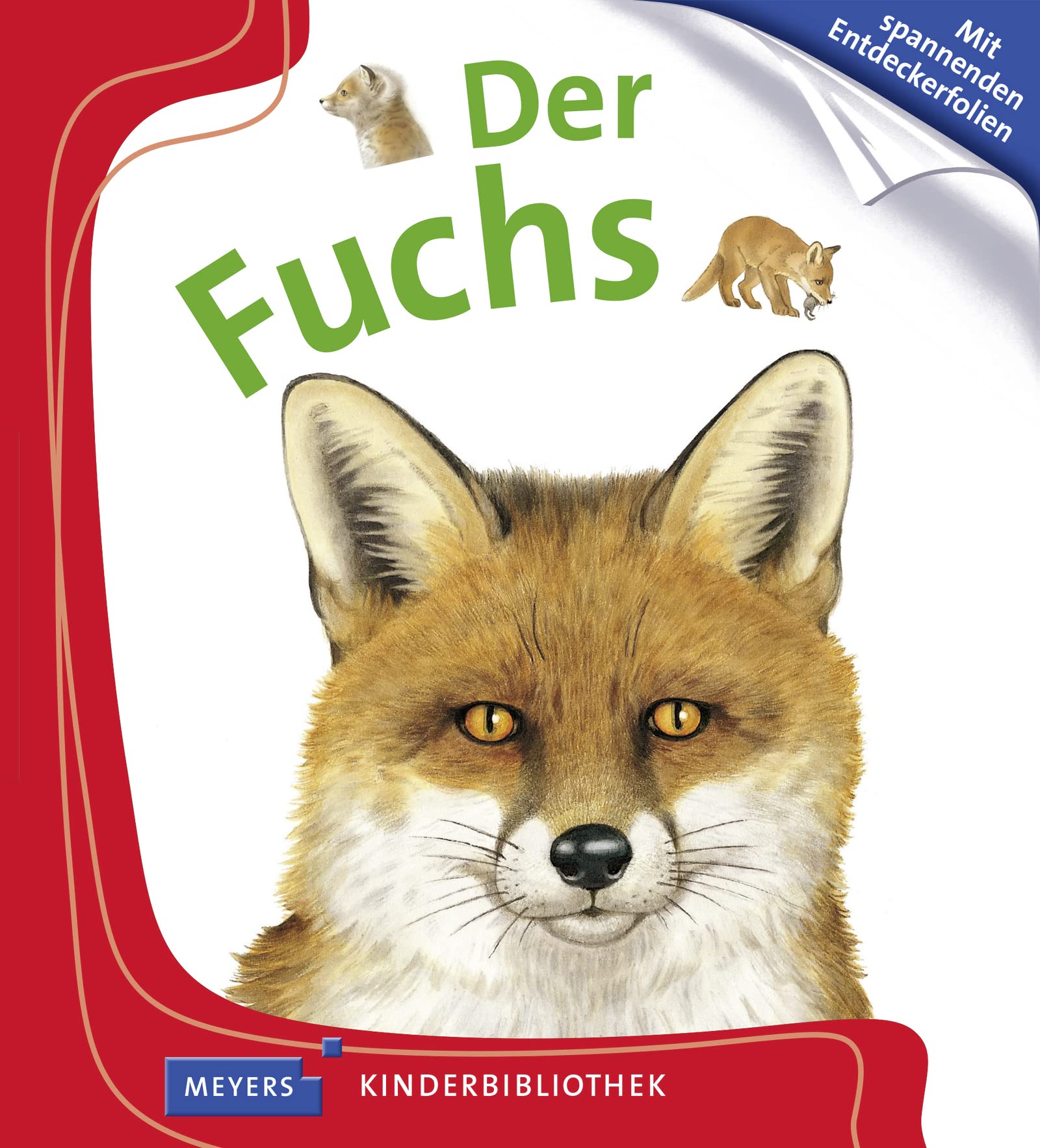 Der Fuchs: Meyers Kinderbibliothek : Amazon.de: Bücher
