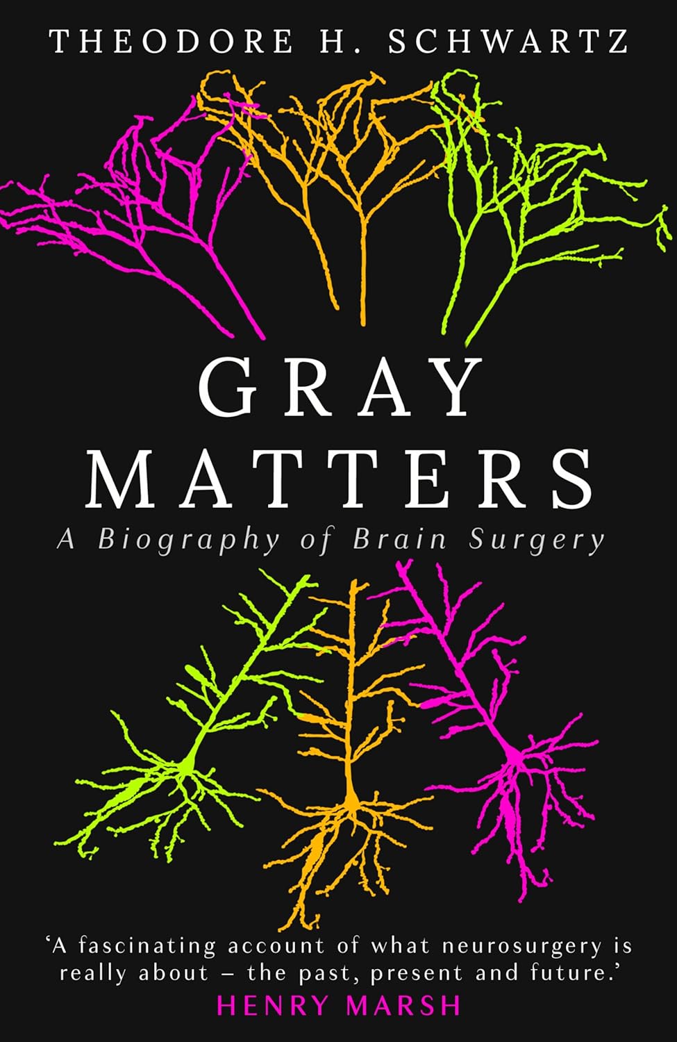 Gray Matters: A Biography of Brain Surgery : Schwartz, Dr. Theodore ...
