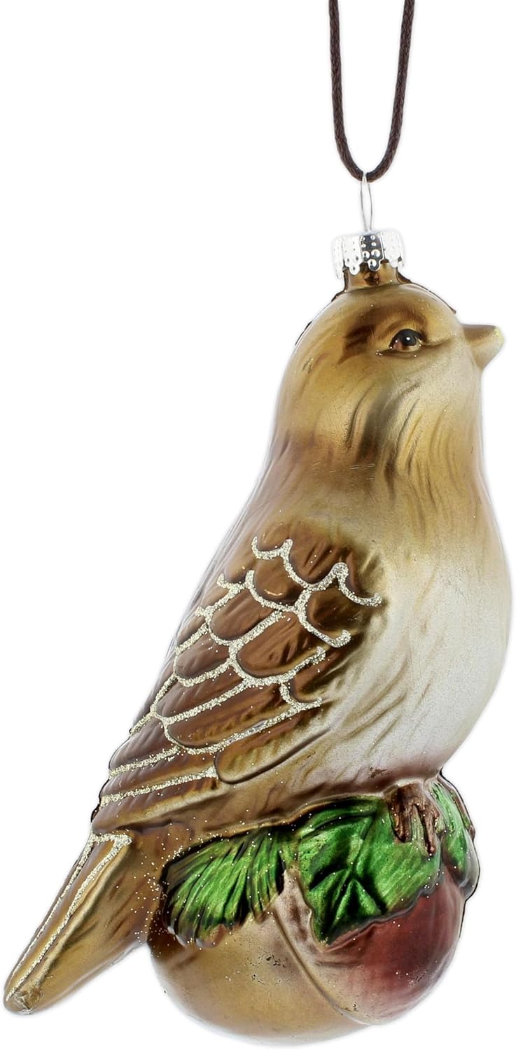 Amazon.com: The Bridge Collection Robin with Acorn Ornament - Robin ...