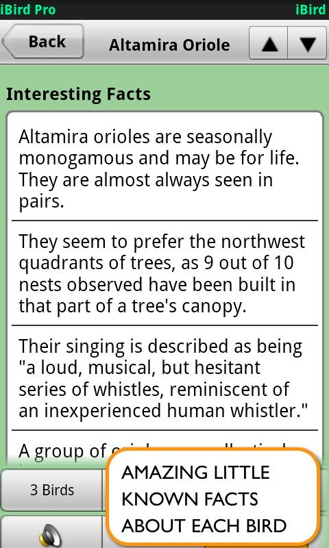 iBird Lite 2:Amazon.com:Appstore for Android