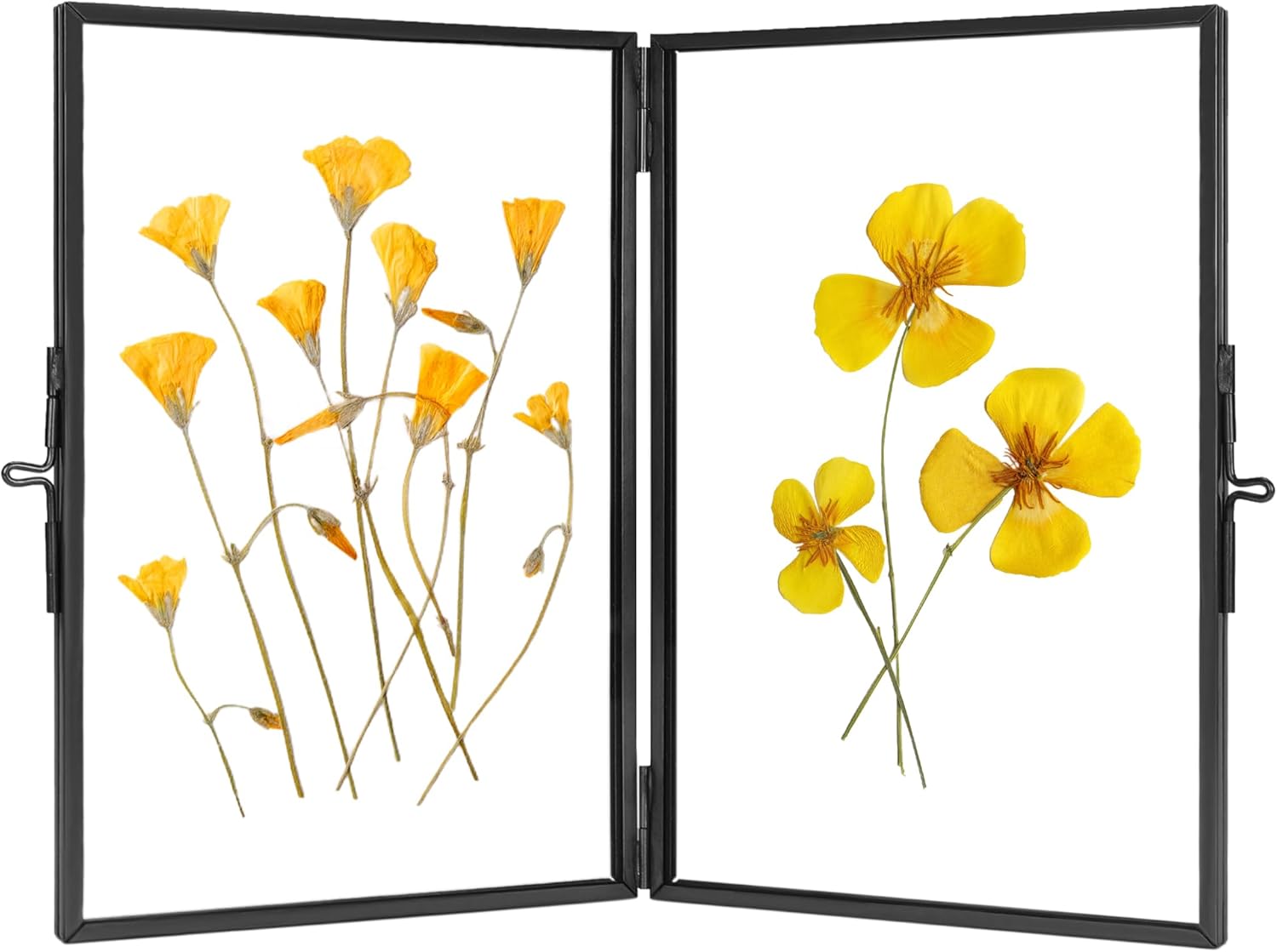 Amazon.com - REDHUGO Glass Pressed Flower Frame Handmade, Hinged Double ...