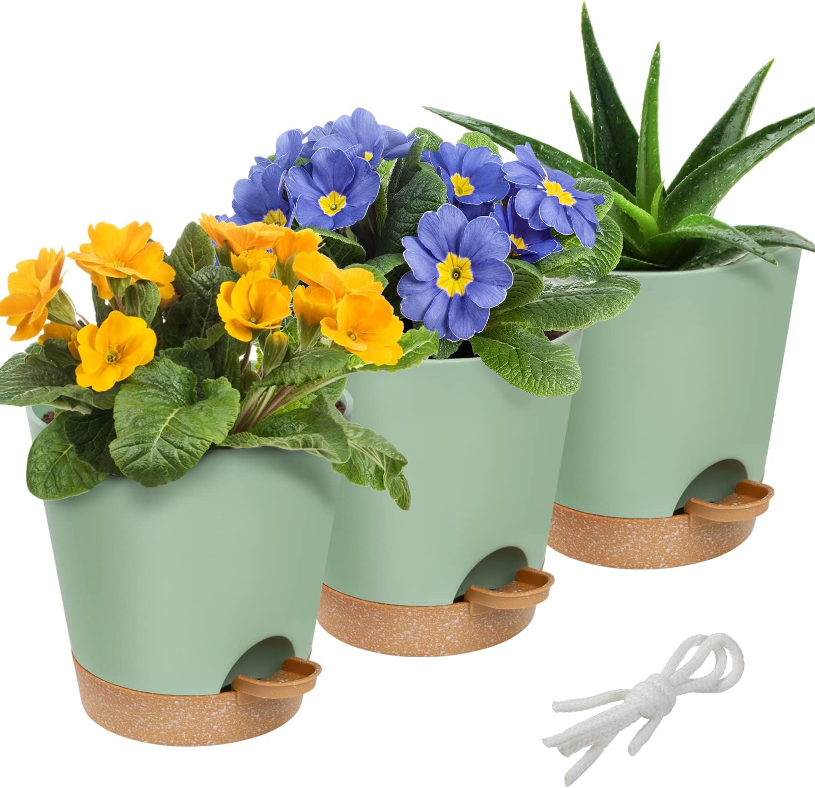 Amazon.com: 6" Self Watering + Self Aerating High Drainage Deep ...