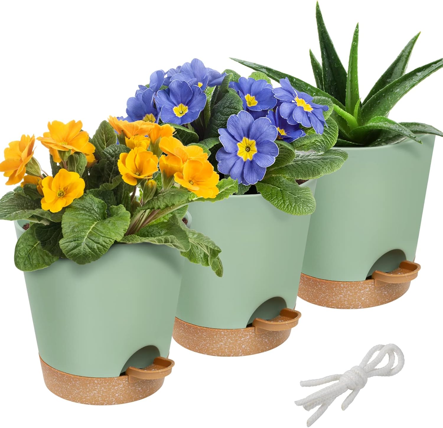 Amazon.com : 6inch Self Watering Pots for Indoor Plants - 3pcs Flower ...