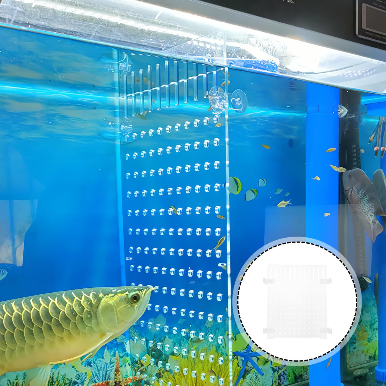 Snapklik.com : Aquarium Fish Tank Divider 11.8X9.8 Inch Clear Acrylic ...