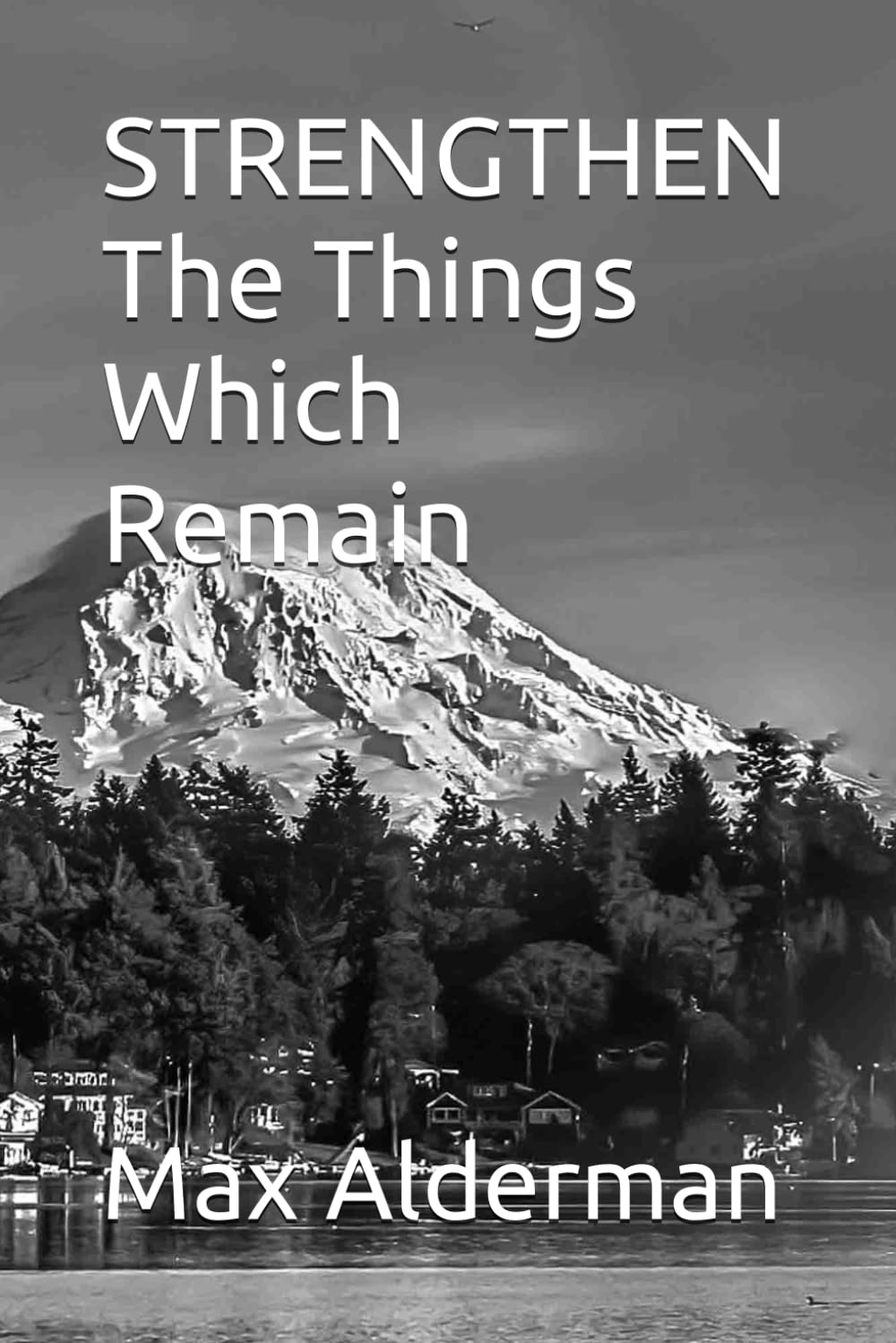 Amazon.com: STRENGTHEN The Things Which Remain: 9798864985816: Alderman ...
