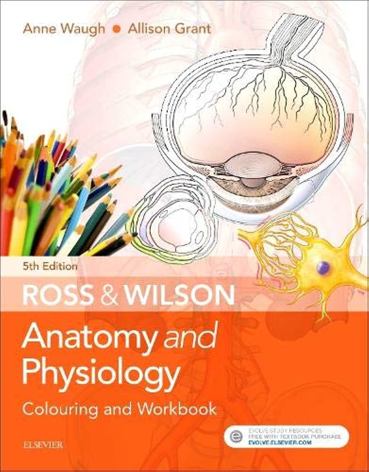 Ross & Wilson Anatomy and Physiology Colouring and Workbook ...
