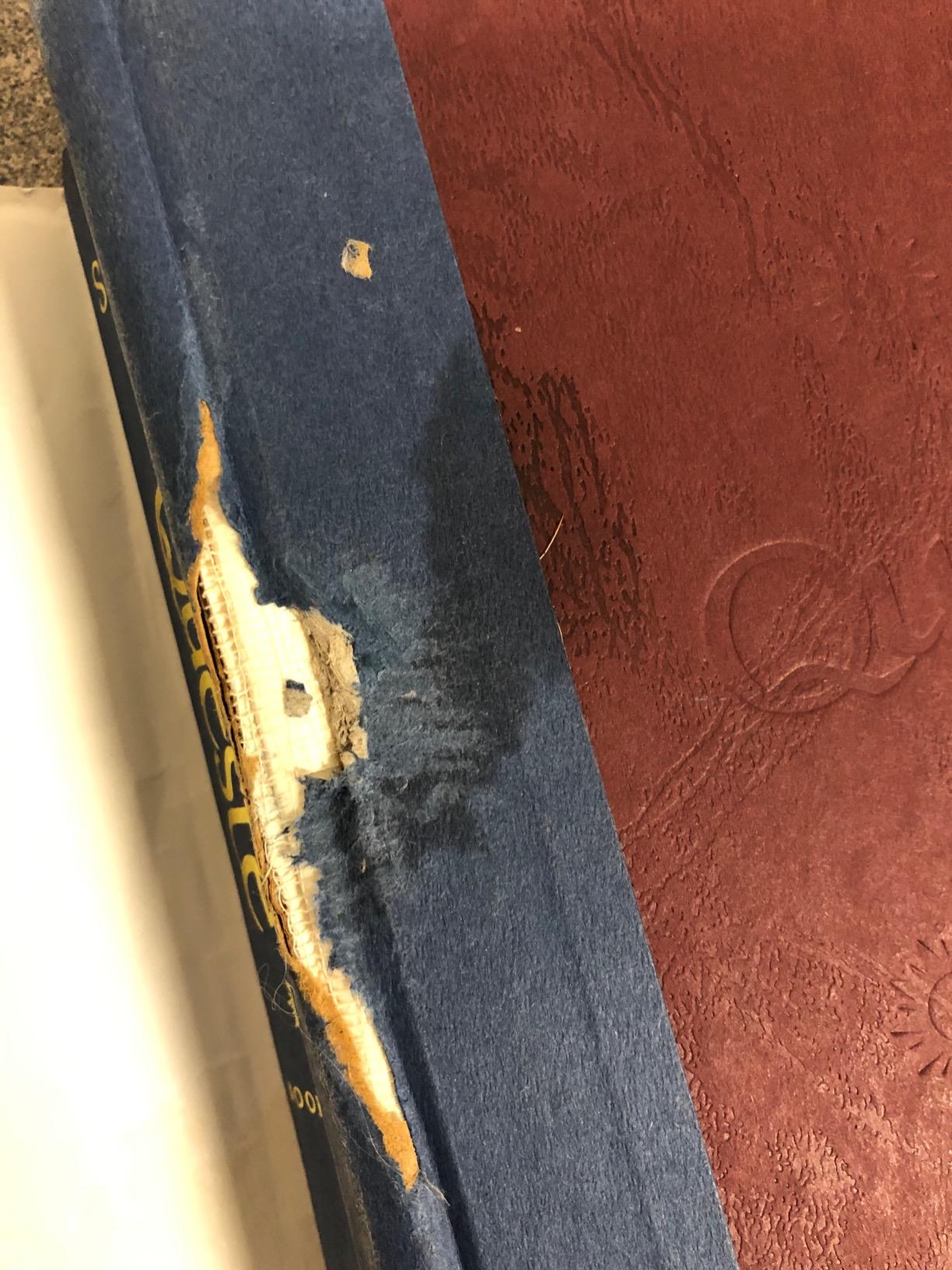 Amazon.com: Septimus Heap, Book Six: Darke (Septimus Heap, 6 ...