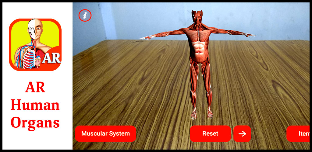 AR Human Organs - App on Amazon Appstore