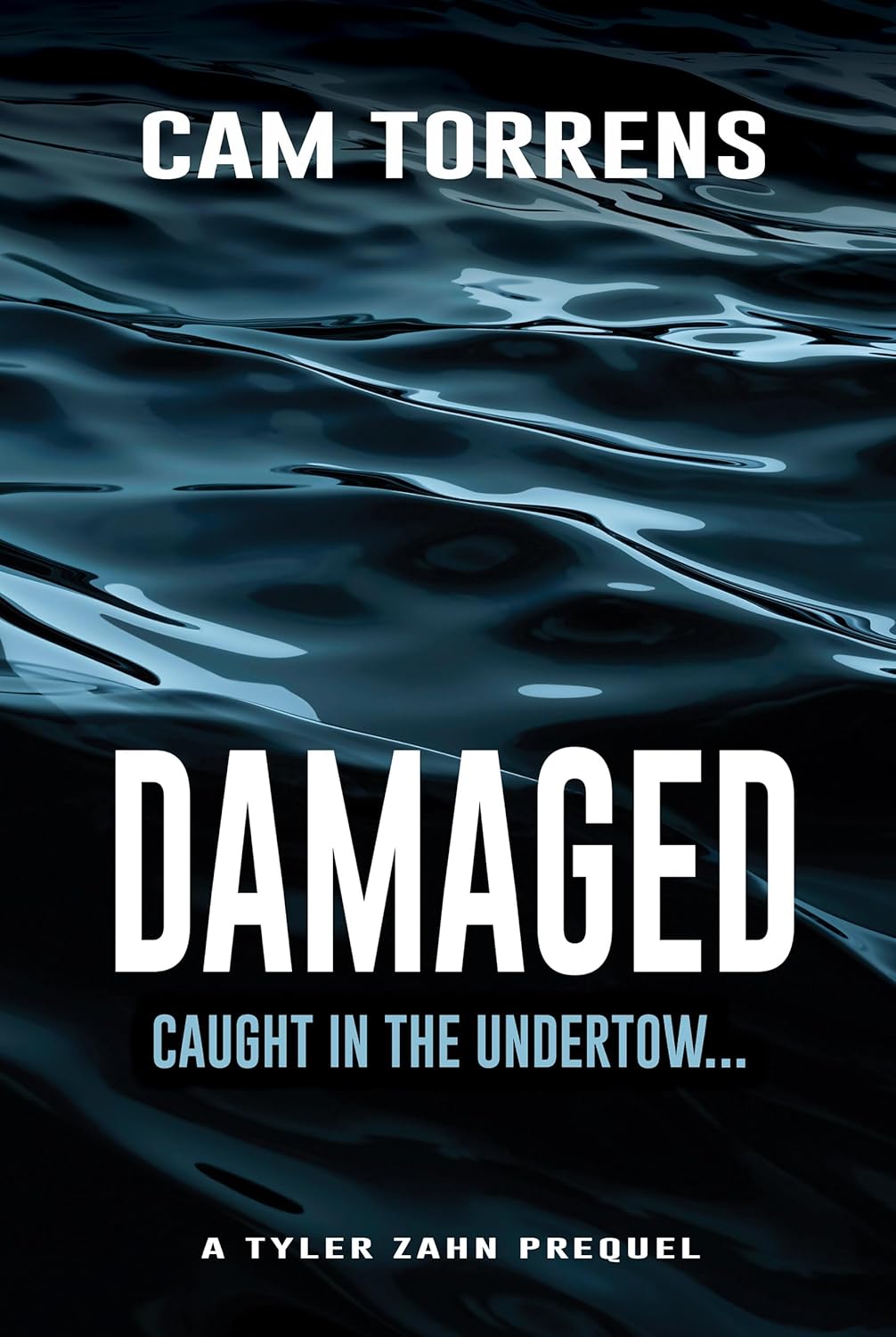 Amazon.com: Damaged: A Tyler Zahn Prequel (A Tyler Zahn Mystery-Suspense Novel Book 4) eBook ...
