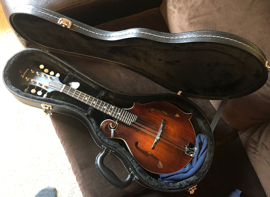 Amazon.com: Glarry® F-Style Microgroove Mandolin Hard shell Case Deluxe ...