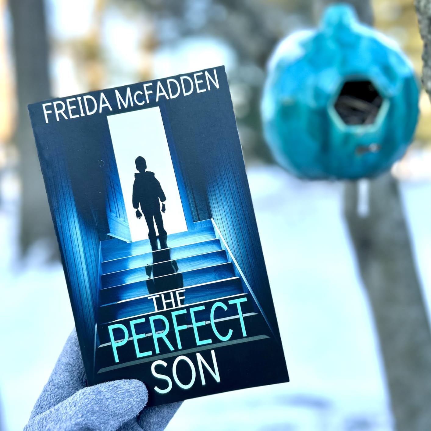 The Perfect Son - Kindle edition by McFadden, Freida. Literature ...
