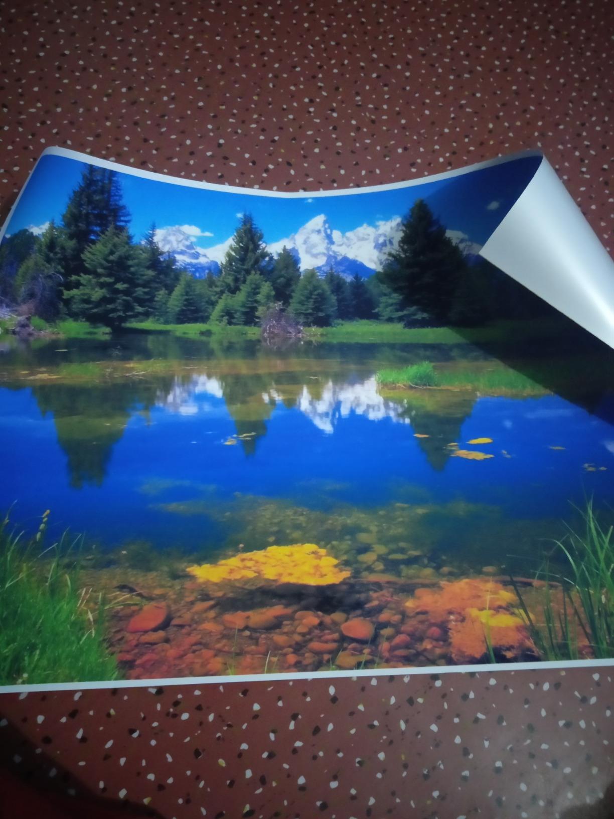 wallpics® Beautiful Nature Wallpapers Fully Waterproof Vinyl Sticker ...