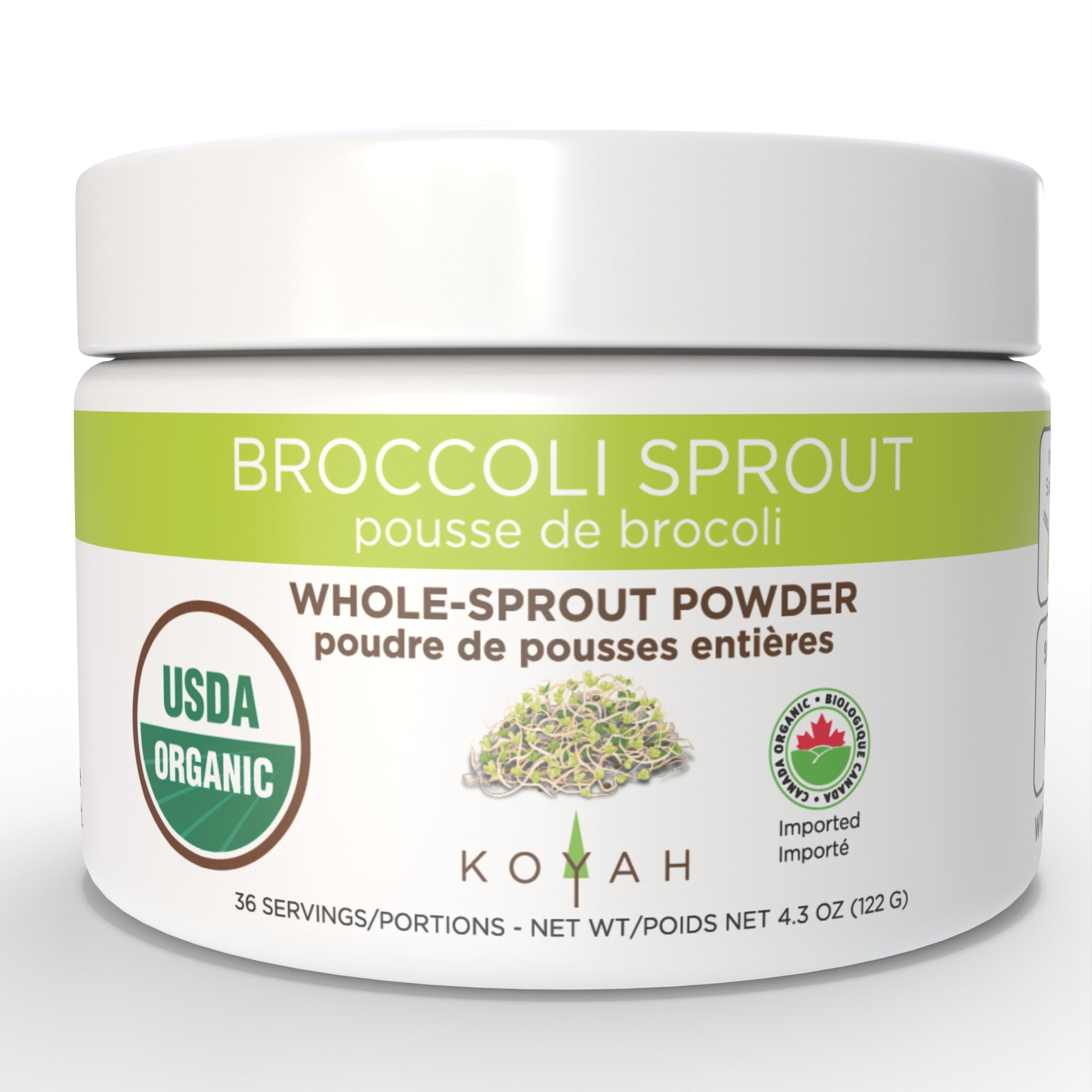 KOYAH - Organic Broccoli Sprout Powder (1 Scoop = 1/4 Cup Sprouts): 36 ...