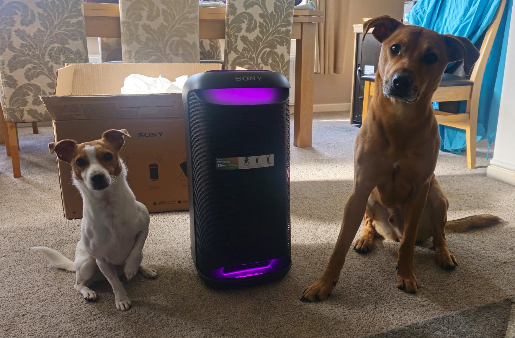 Sony SRS-XV900 - Powerful Wireless Party Speaker with Omnidirectional ...