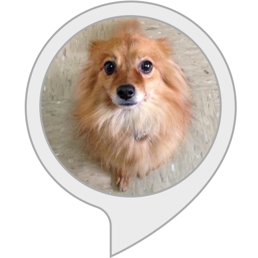 Amazon.com: Dog Breed : Alexa Skills