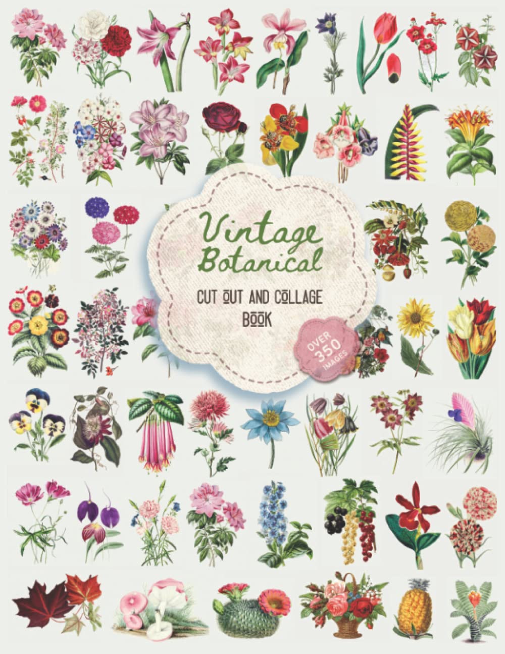 Vintage botanical Cut Out and Collage Book: Ephemera Botanical ...