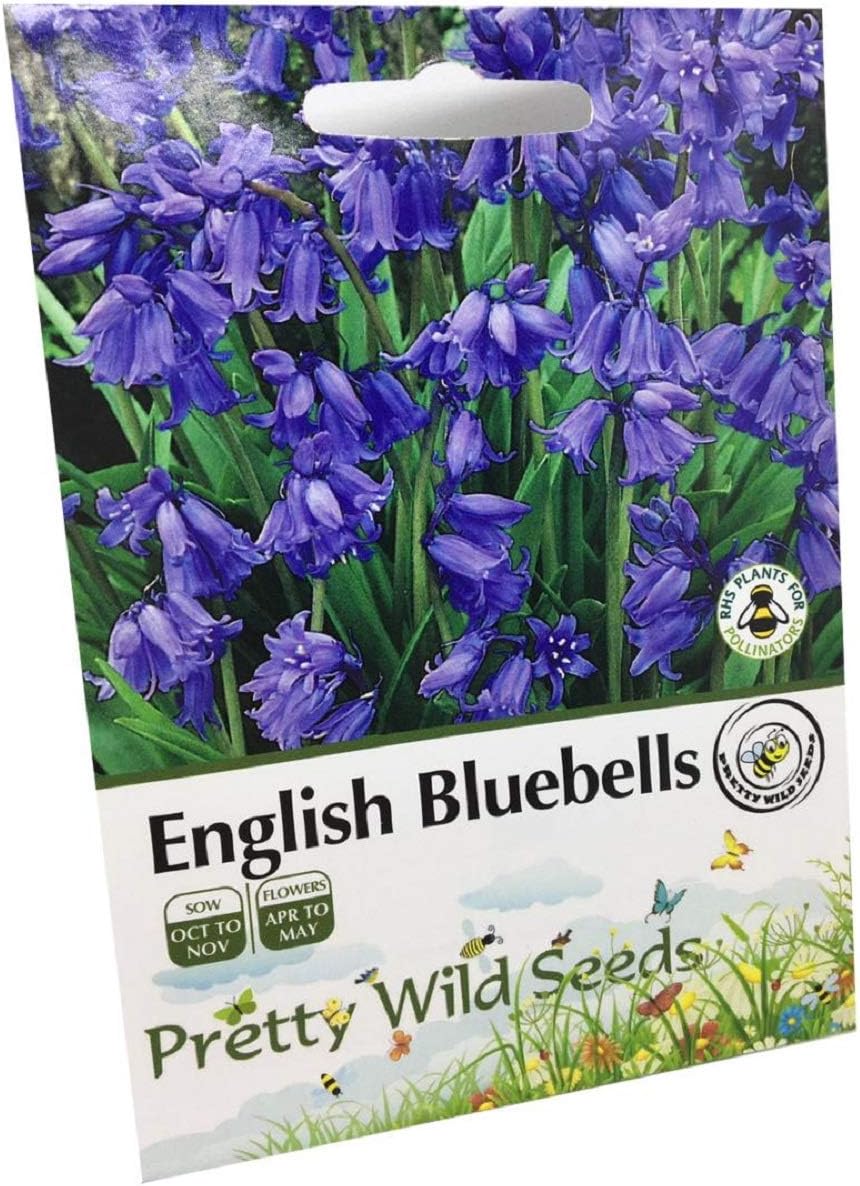 Native English Bluebell - Seeds : Amazon.co.uk: Garden
